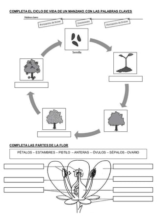 Ev inst unid 3 ciencias | DOCX