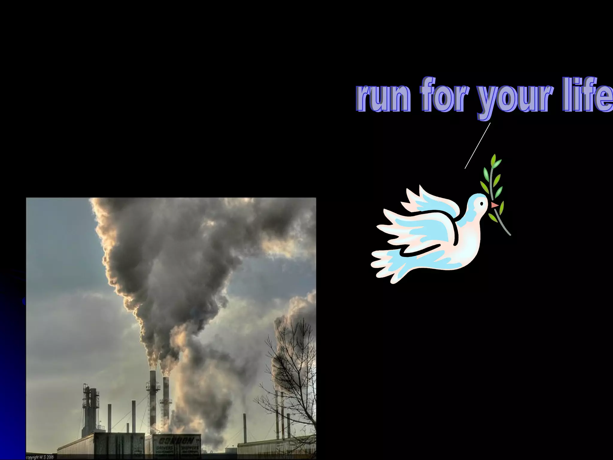 Evironmental Pollution | PPS