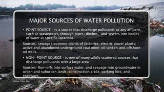 Evironmental Science Report on Environmental Pollution.pptx