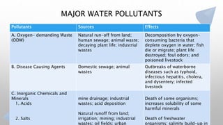 Evironmental Science Report on Environmental Pollution.pptx