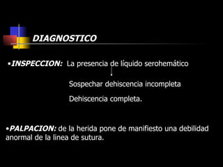 Evisceracion Y Eventracion | PPT