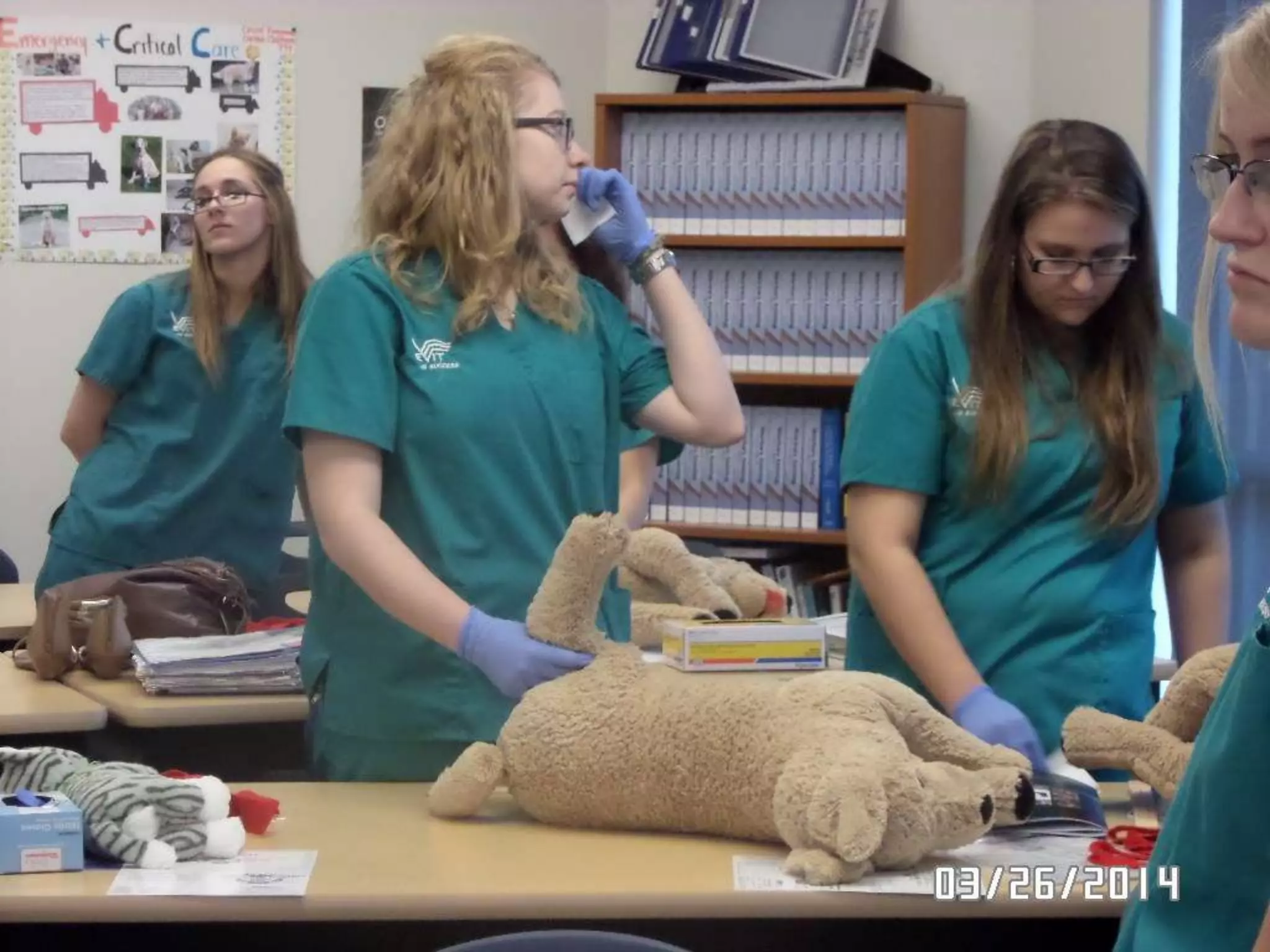 Evit pm vet students | PPTX