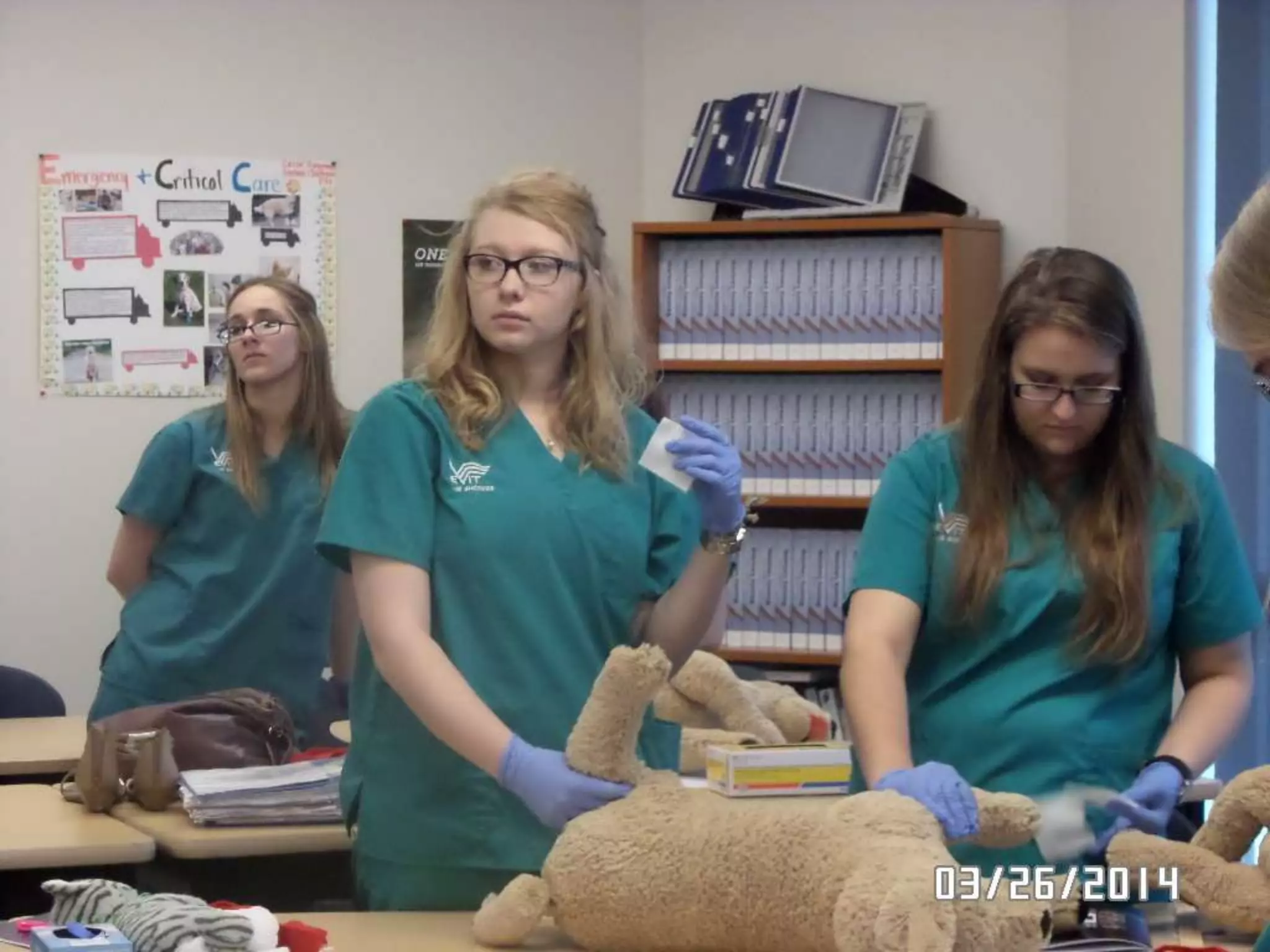 Evit pm vet students | PPTX