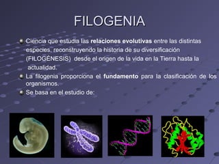 Evo. vida seres vivos~1 | PPT