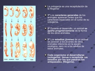 Evo. vida seres vivos~1 | PPT