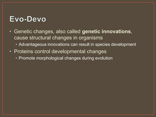 Evo-Devo | PPTX