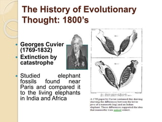 Evo lutionary Biology (Bio 110) - INTRODUCTION (What is Evolution ...