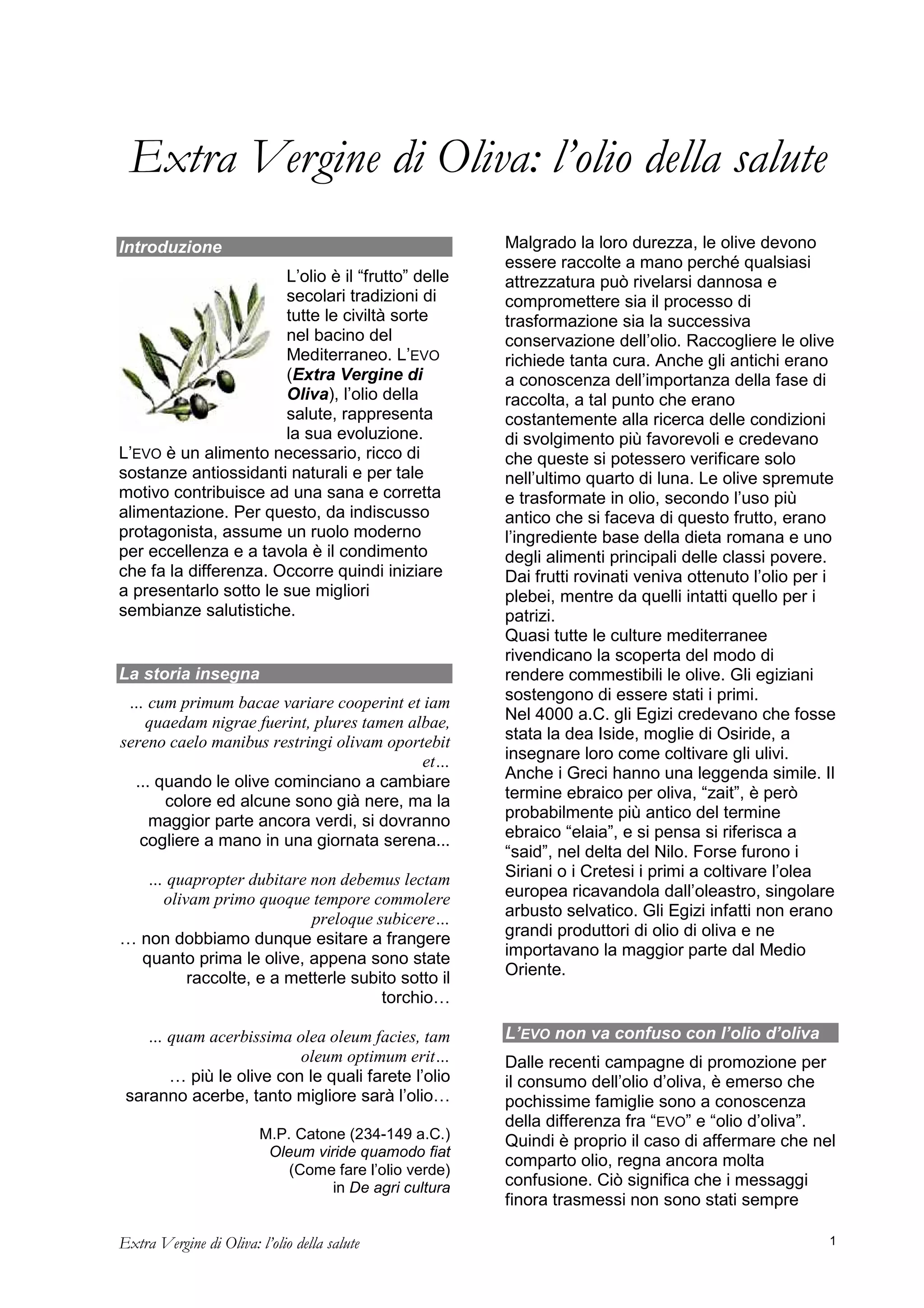 Evo 2009 L'olio Della Salute | PDF