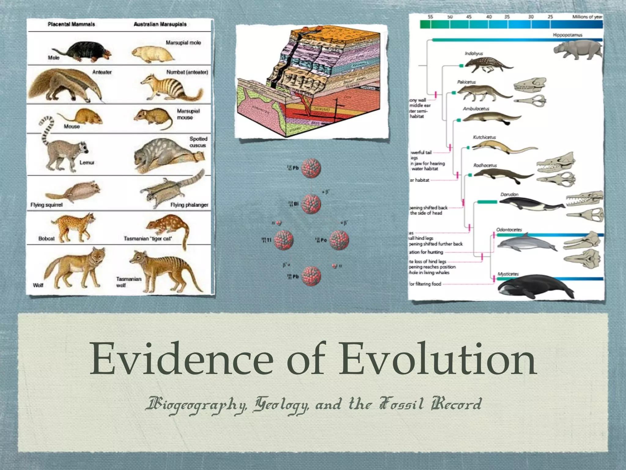 Evo evidence 16_4_1 | PPT