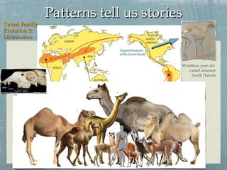 Evo evidence 16_4_1 | PPT