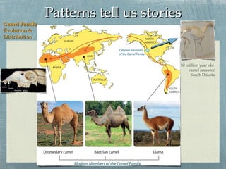 Evo evidence 16_4_1 | PPT