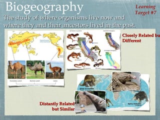 Evo evidence 16_4_part2 | PPT