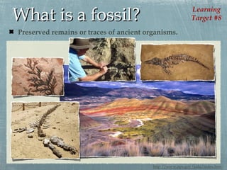 Evo evidence 16_4_part2 | PPT