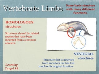 Evo evidence 16_4_part2 | PPT