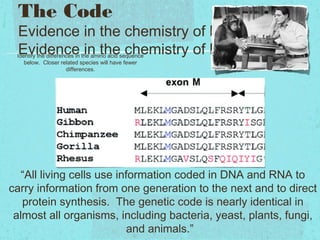 Evo genetic evidence_lt10 | PPT