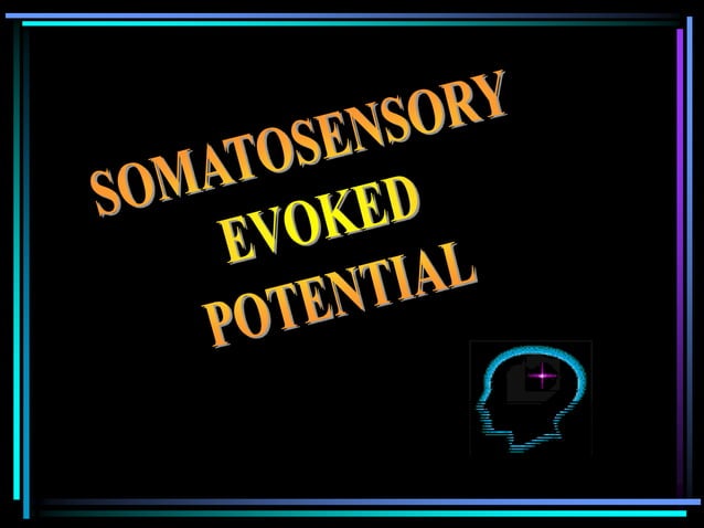 Evoked potential - An overview | PPT | Brain and Nervous System ...