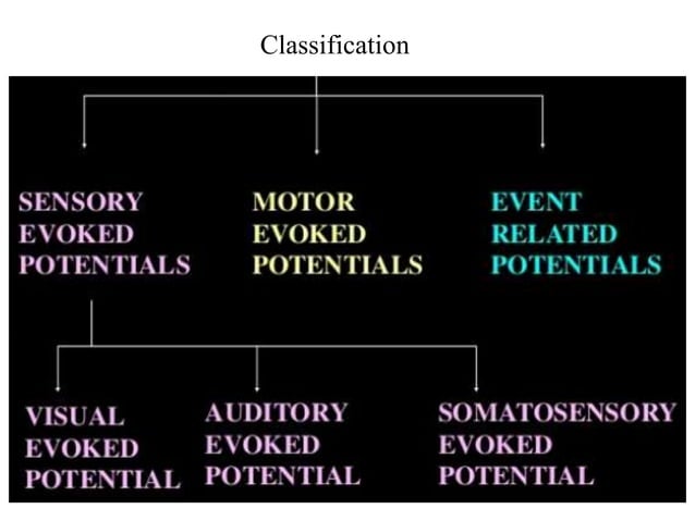 Evoked Potential ppt.pptx | Brain and Nervous System Disorders | Diseases and Conditions