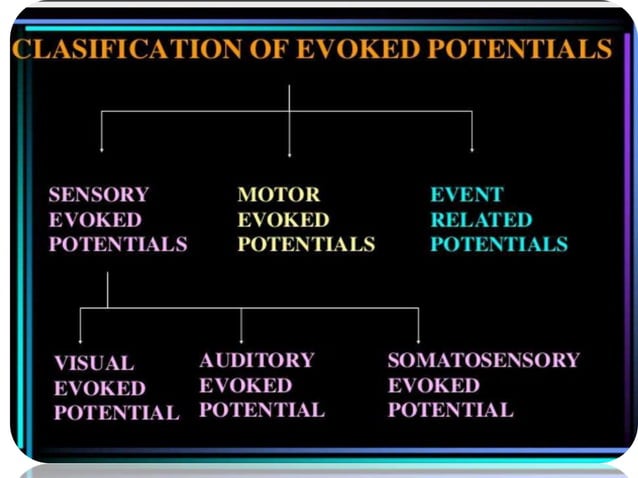 Evoked potentials (1) | PPTX