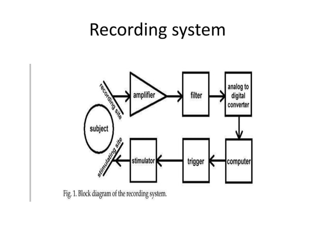 Evoked potentials (1) | PPT