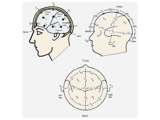 Evoked potentials, clinical importance & physiological basis of consciousness, eeg changes in ...