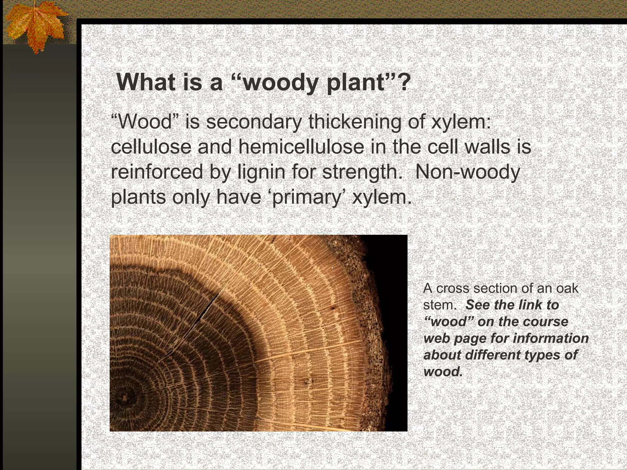Evol and dist of woody plants | PPT