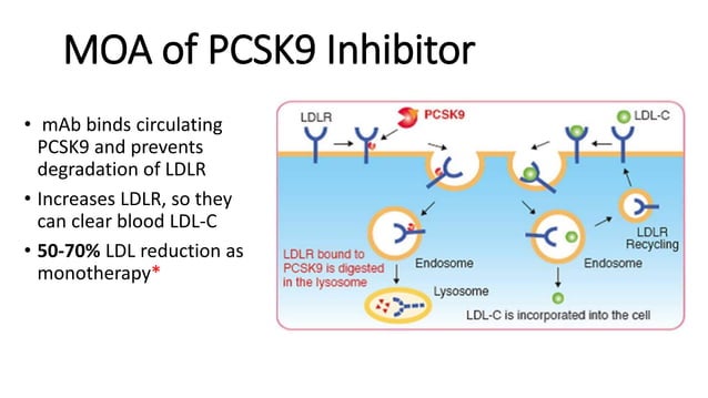 Evolocumab PCSK9 inhibitor | PPTX