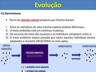Evolução - Teorias evolucionistas - Darwin e Lamarck | PPT