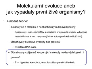 Evoluce Bak | PPT