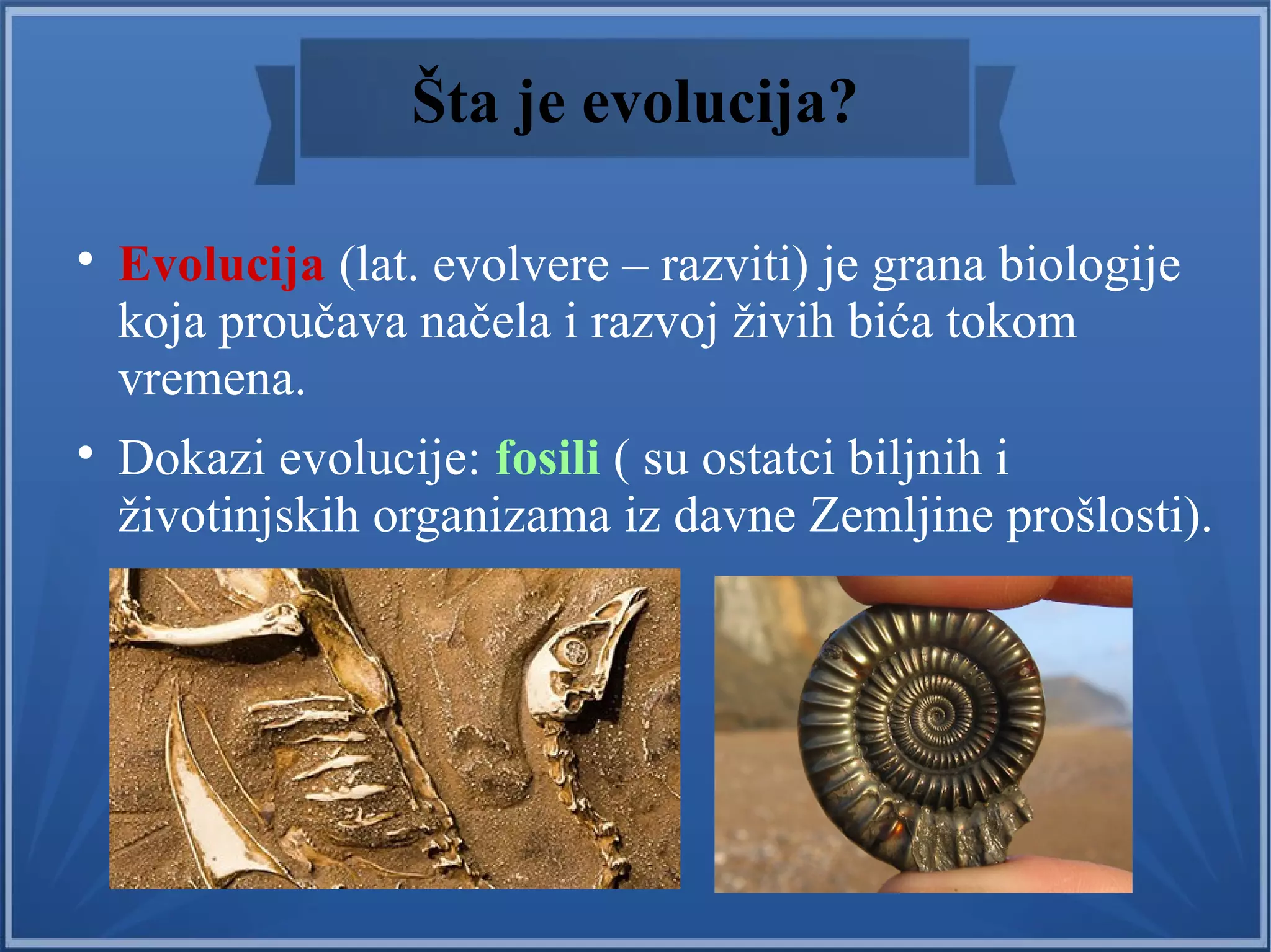 Evolucija | PPT
