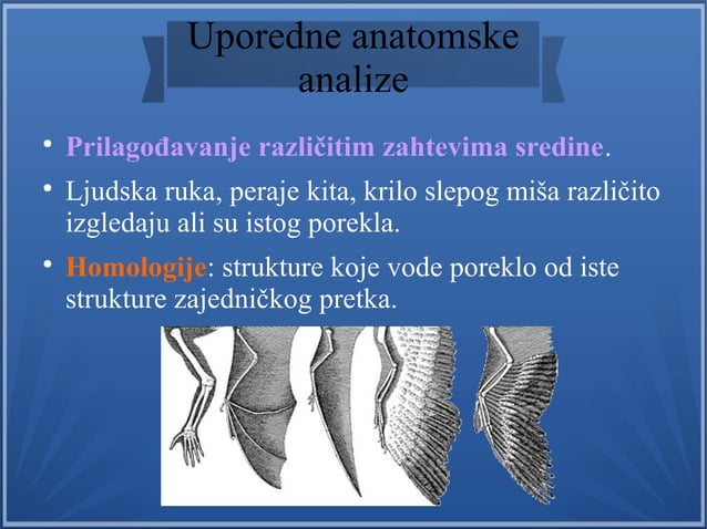 Evolucija | PPT