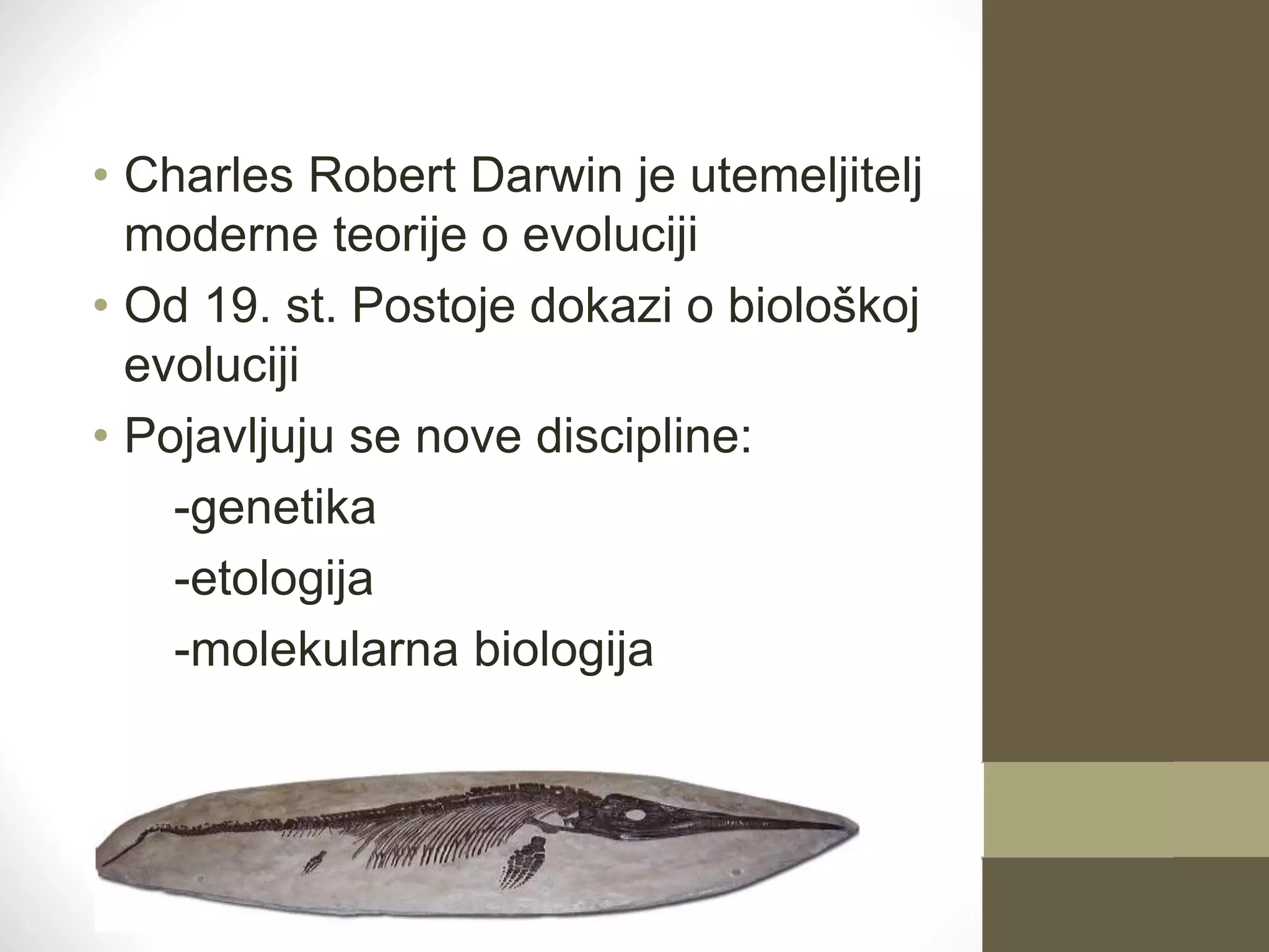 Evolucija | PPTX