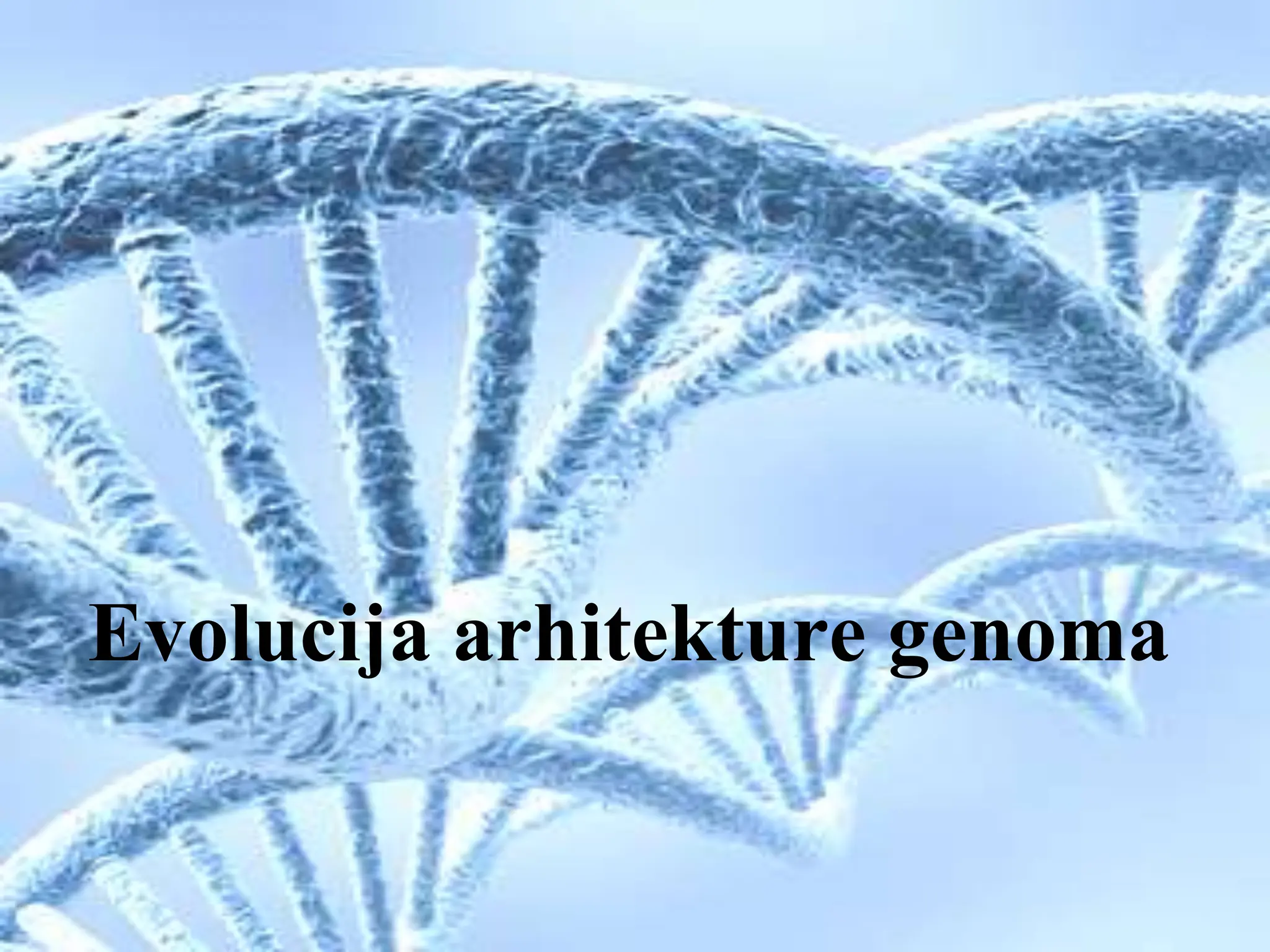 evolucija arhitekture genoma. preyentacija | PPT