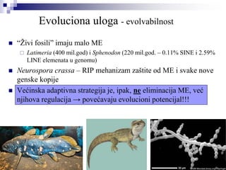 evolucija arhitekture genoma. preyentacija | PPT
