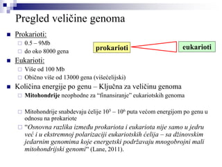 evolucija arhitekture genoma. preyentacija | PPT