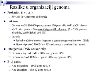 evolucija arhitekture genoma. preyentacija | PPT