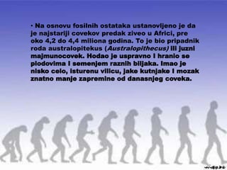 Evolucija coveka | PPTX