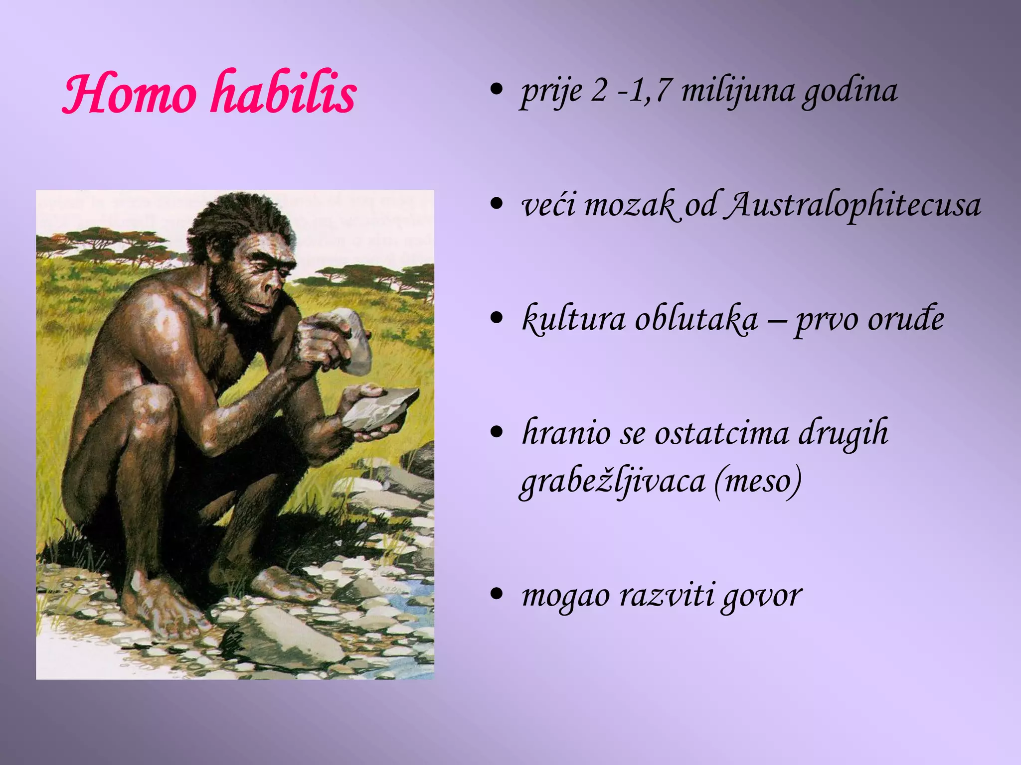 Evolucija čovjeka | PDF