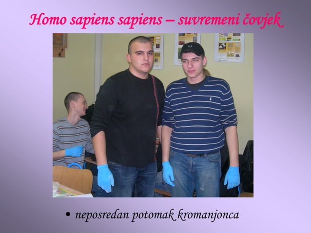 Evolucija čovjeka | PDF