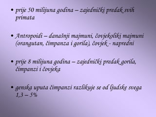 Evolucija čovjeka | PDF