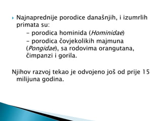 Evolucija primata | PPTX