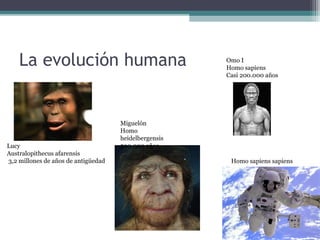 Evolución | PPT