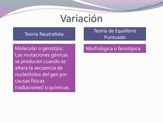 Evolución 4 | PPT