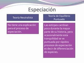 Evolución 4 | PPT