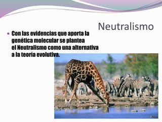 Evolución 4 | PPTX