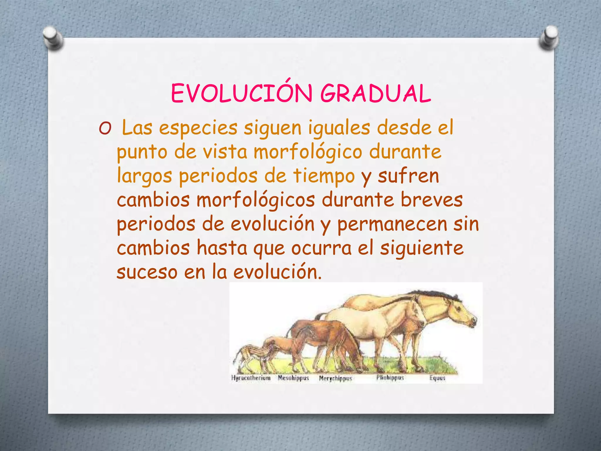 Evolución darwin y ev. gradual y punteada | PPTX