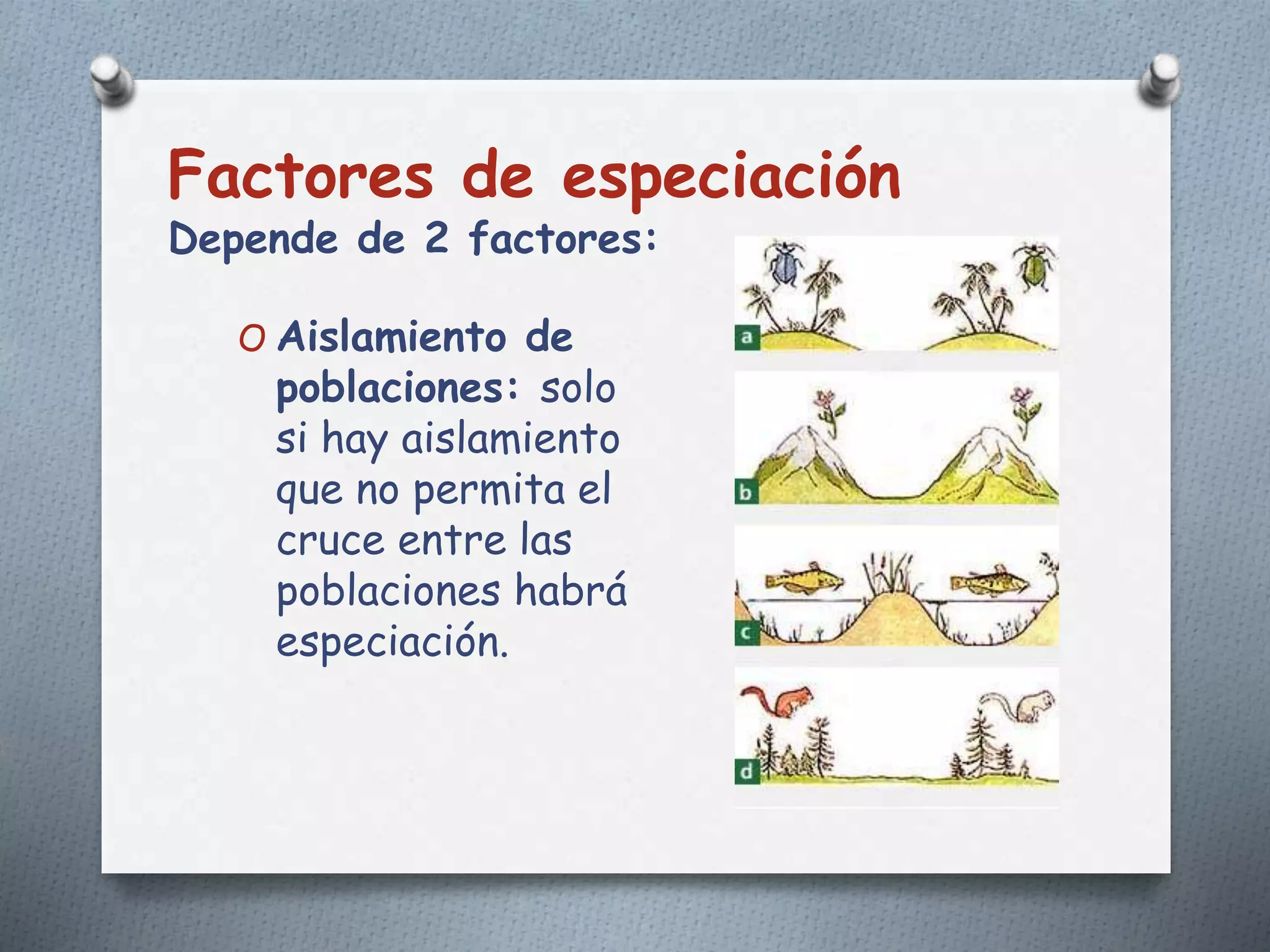 Evolución darwin y ev. gradual y punteada | PPTX