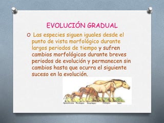 Evolución darwin y ev. gradual y punteada | PPTX