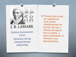 Evolución darwin y ev. gradual y punteada | PPTX