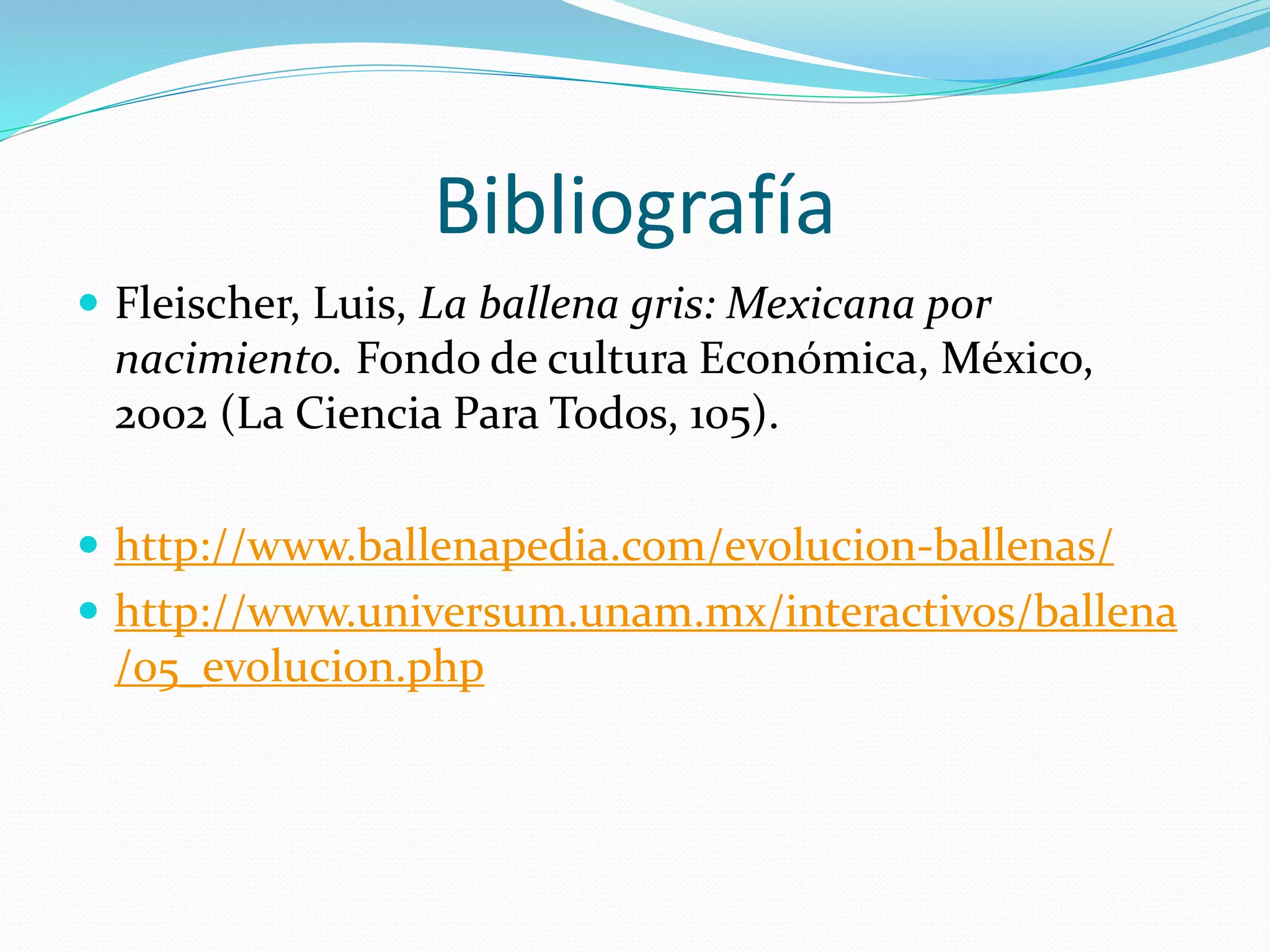 Evolución de la ballenas | PPTX