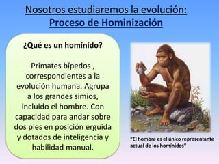 Evolución de la humanidad. clase 1 y 2. | PDF